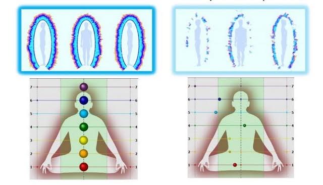 Biowell vitaliteitsscan - Bodycare Sportmassage - Patricia Grasman